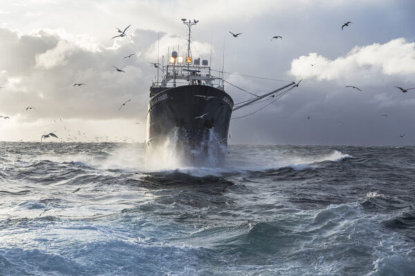 無添加の西京漬け詰合せ | 三福水産